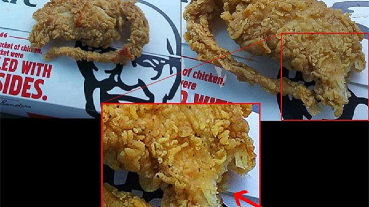 DNA test proves that the 'rat' that appeared in a KFC bucket was just ...