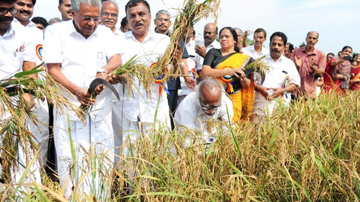 haritha keralam mission - Malayalam Oneindia