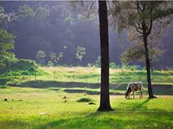 More tourism spots in kozhikode-thonikadavu-kanayamkod - Malayalam Oneindia