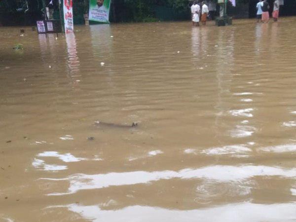 flood in pala town, bus services stopped - Malayalam Oneindia