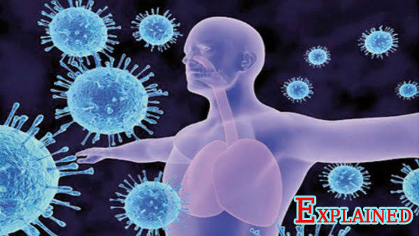 Dr. Shinu Shyamalan talks to OneIndia Malayalam about case against her ...