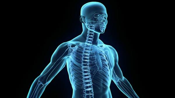 Things to know about human body - Malayalam Oneindia