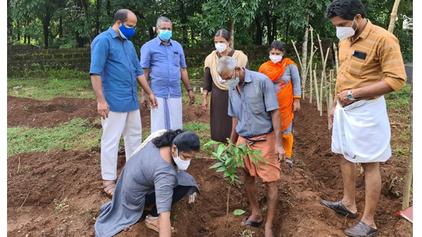 Haritha Kerala mission planted 24 Devaharitham areas - Malayalam Oneindia