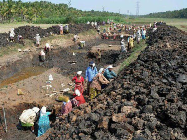 NREGA project; Kerala ranks first in women's participation - Malayalam ...