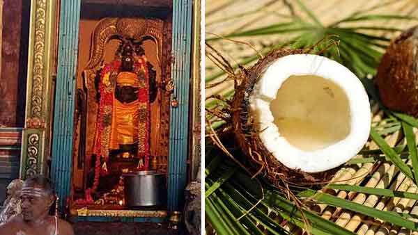 do you know why people break coconuts on devotees' heads during this ...