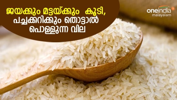 Rice prices are increasing in Kerala, including Jaya and Matta rice ...