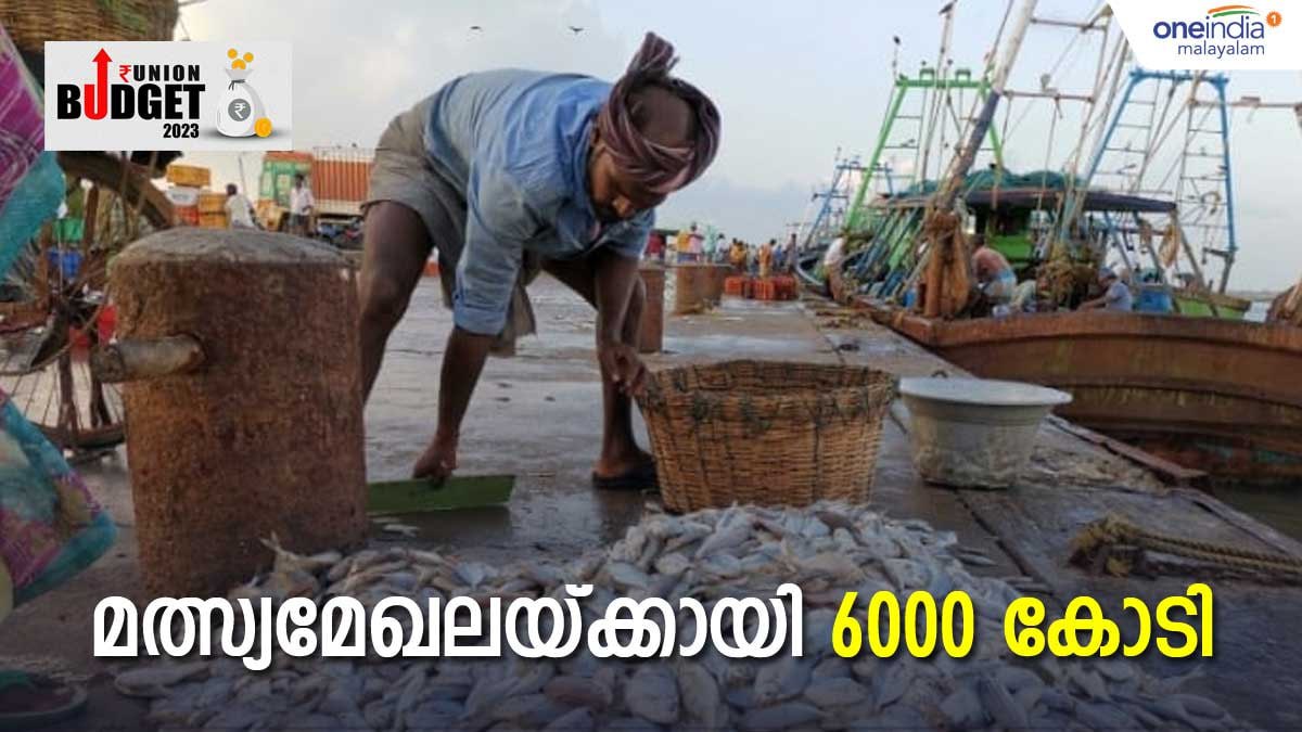 Budget 2023: 6000 crore new scheme for fisheries sector: 2200 crore for horticulture - Malayalam ...