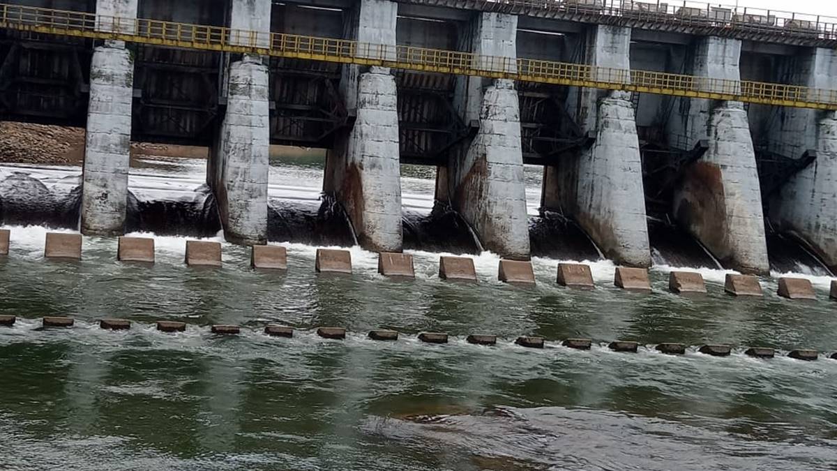 After ten years, the water is released into the canals of Pazhassi Dam ...