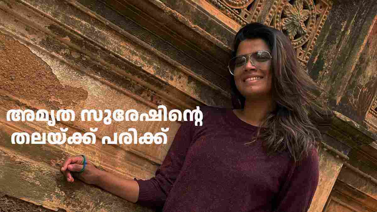 Bigg Boss Malayalam Fame Amrutha Suresh revealing an accident that ...