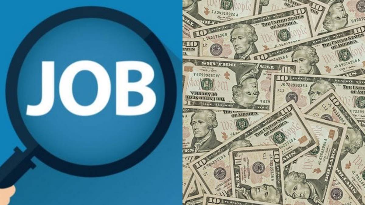 JOBS: Are You Ready For Panda nanny job, Salary Over 26 lakh per year ...