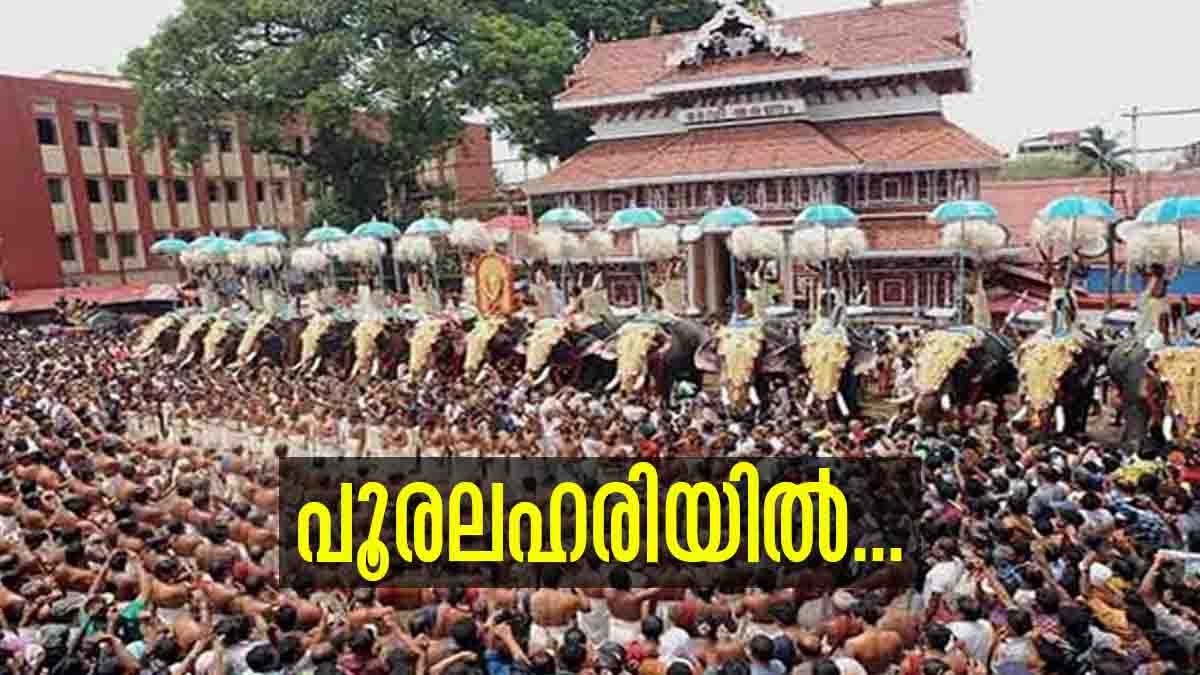People celebrating Thrissur Pooram today, huge crowd in front of ...