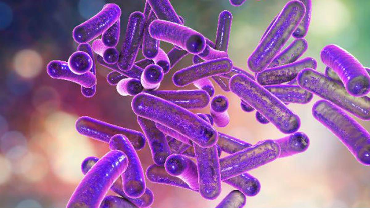 Malappuram: Food poisoning From Kuzhimanthi, Confirmed Shigella; Four ...