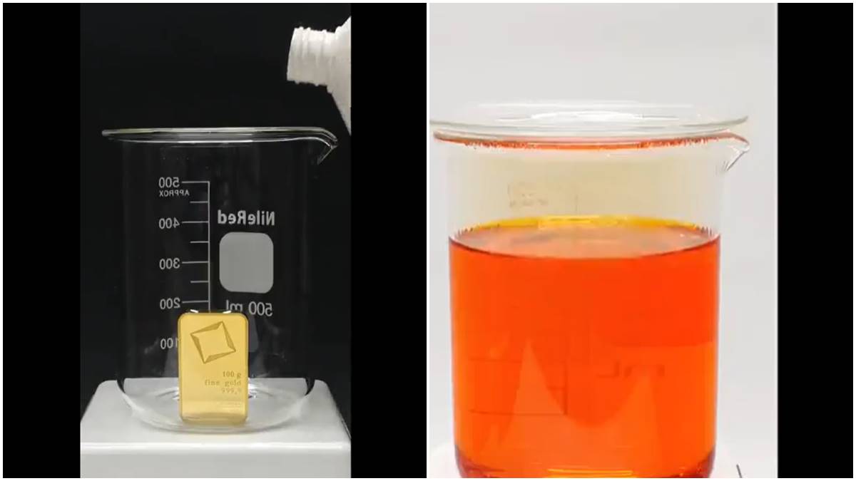 a young man put gold bar in acid, Here is what Happened next Video Goes ...