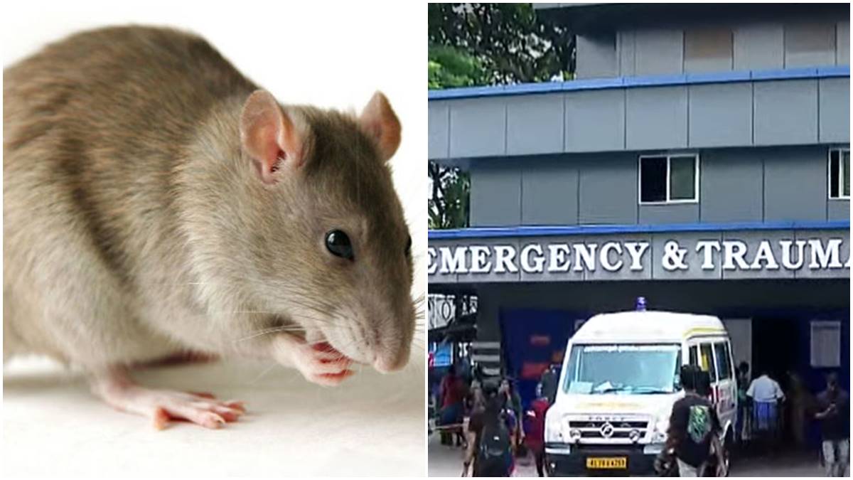 XRay Unit of Palakkad District Hospital worth RS 92 lakhs was Destroyed ...