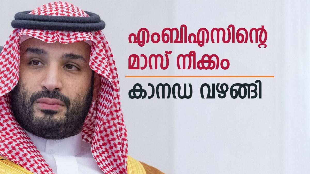 Saudi Arabia Crown Prince Mohammed bin Salman Tactical Move; Saudi ...