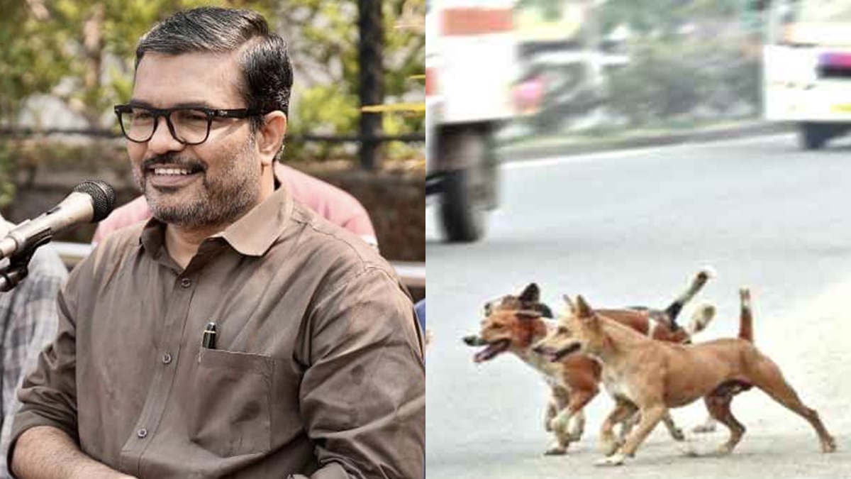 Street Dog Issue in Kerala; Govt will move to high court says Minister ...