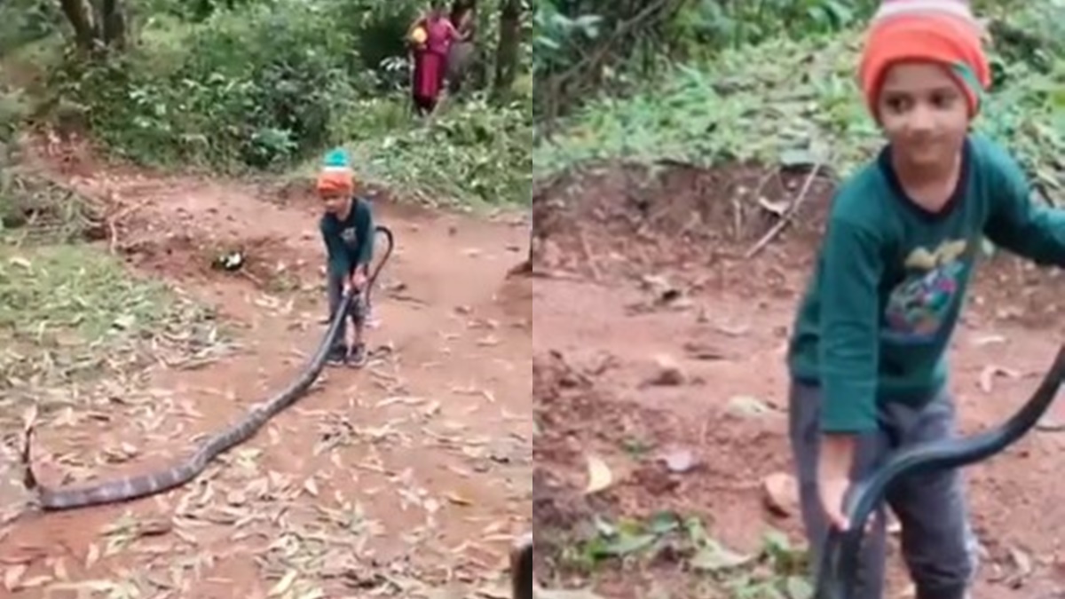 Viral Snake Video: Netizens Shocked to see a Video of a child playing ...