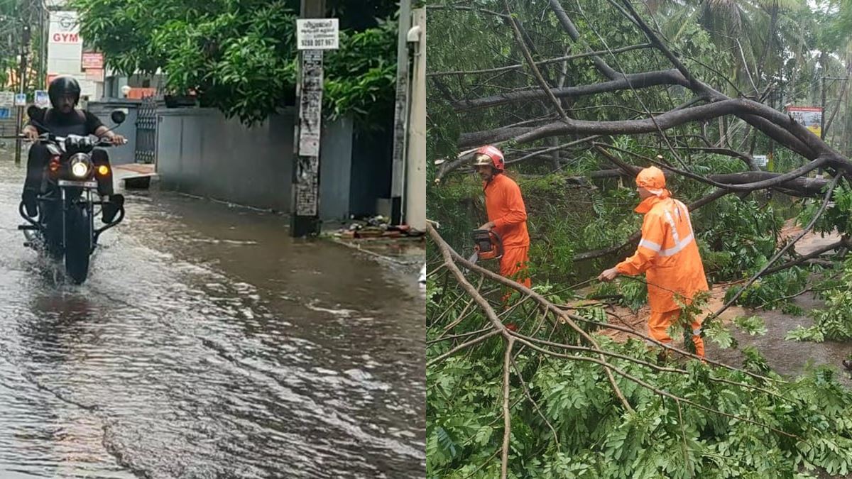 Kerala Rain Continues ; Red Alert In 3 Districts, NDRF Team Deployed ...