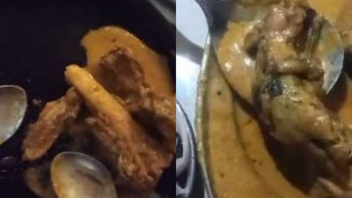 Viral Video: People who came to eat Malay mutton found a dead rat in ...
