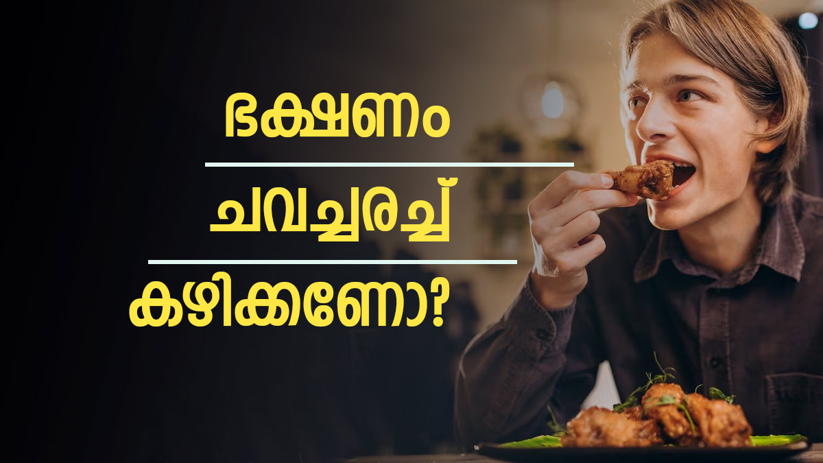 Do You Know How Many Times You Should Chew your Food Before Swallowing ...