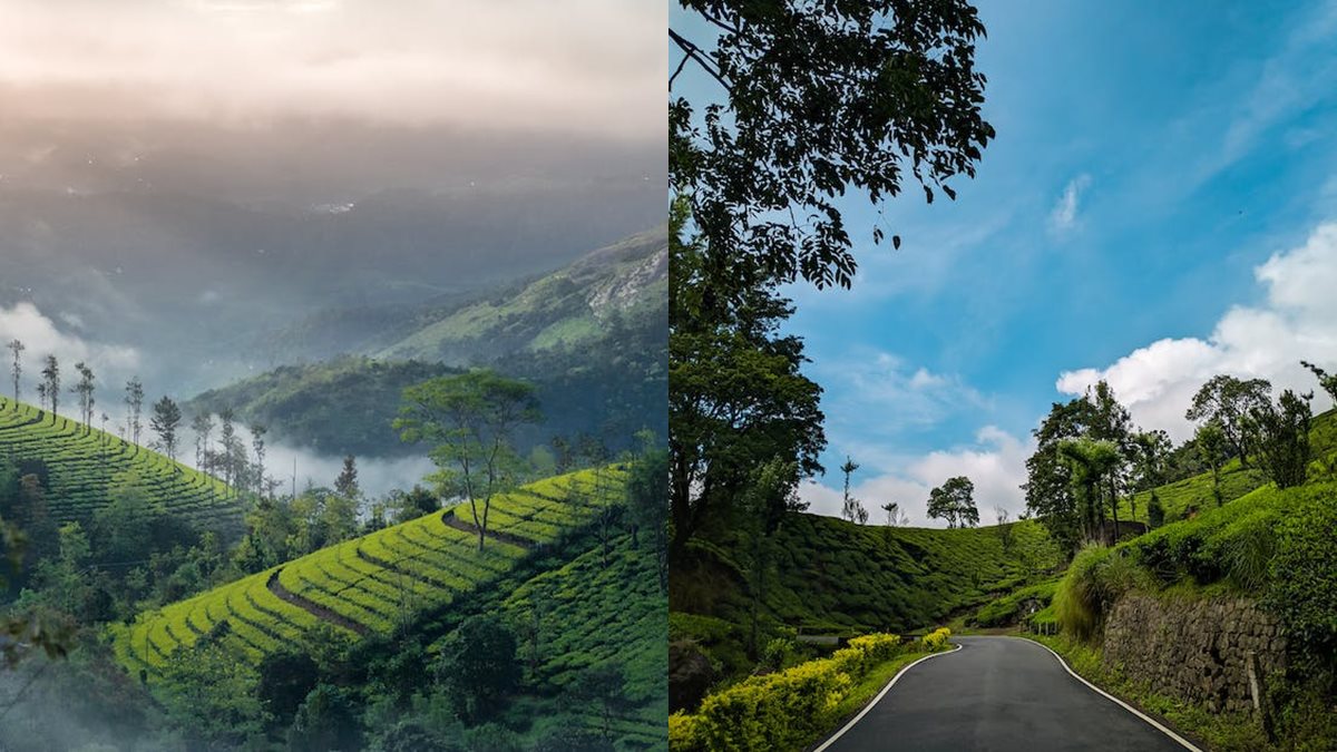 Onam 2023; From Munnar To Wayanad, KSRTC's New Tourism Package, Know ...