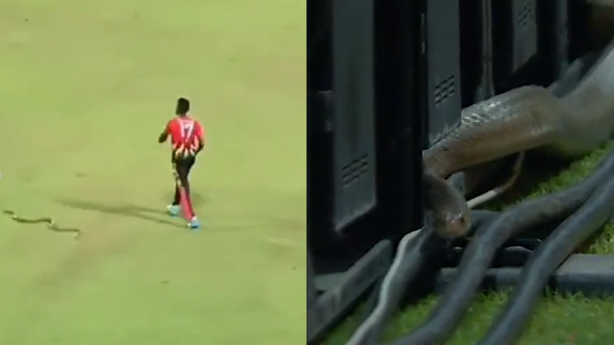Viral Video: Snake Enters Cricket Ground During LPL 2023, Player Makes Narrow Escape | ' പുല്ല് ...