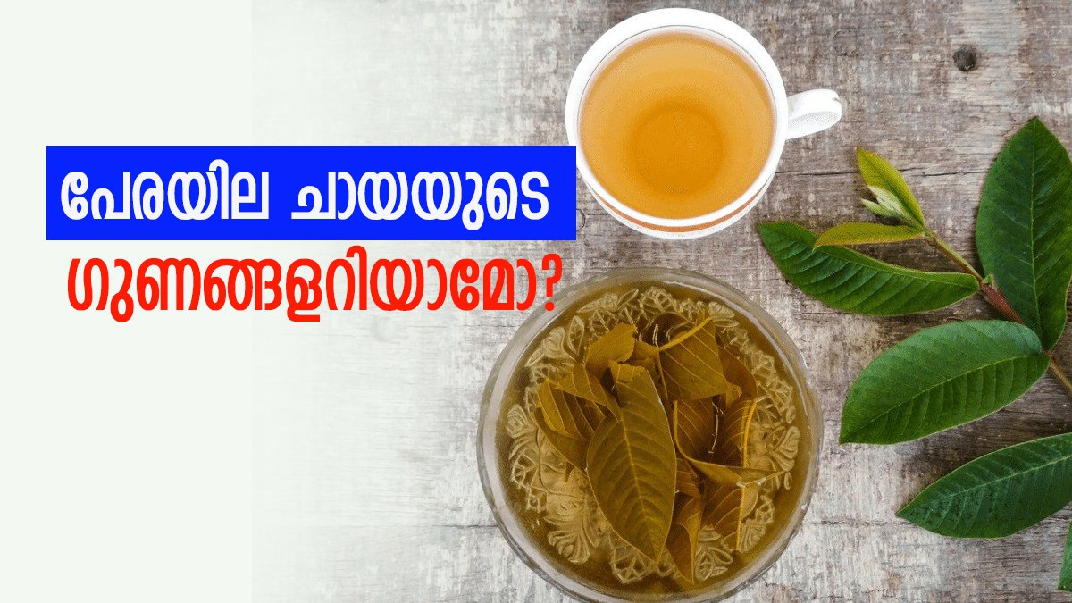 മുഖക്കുരിവില്ലാത്ത ചർമ്മം സ്വന്തമാക്കാം, എന്നും ഒരു കപ്പ് പേരയില ചായ ...