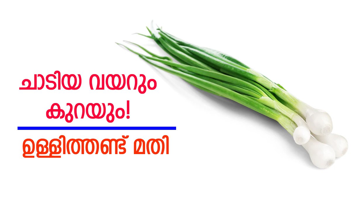 Weight Loss Tips: Do You Know Spring Onion Helps In Weight Loss, Here ...