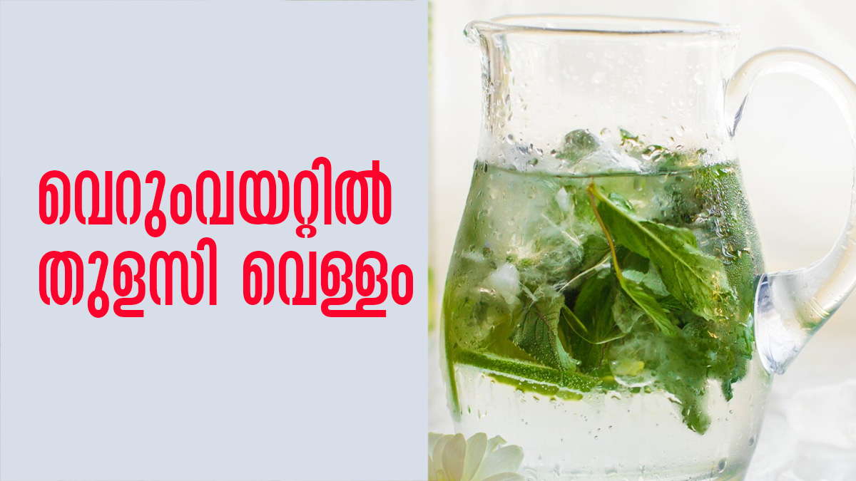 വെറും വയറ്റില്‍ തുളസി വെള്ളം കുടിക്കാമോ..? എന്തെങ്കിലും ഗുണമുണ്ടോ ...
