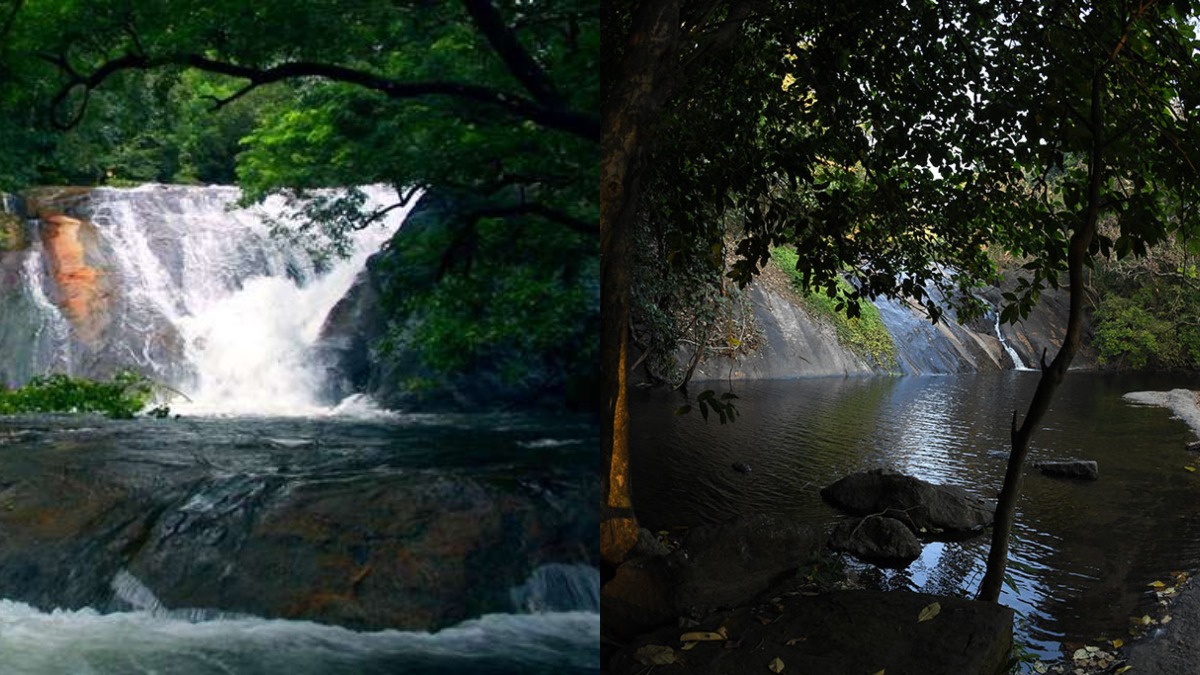 ട്രെക്കിംഗ് നടത്തി എത്തുന്നത് 'ധോണി'യുടെ മുൻപിൽ; പാലക്കാട്ടെ ഈ ...