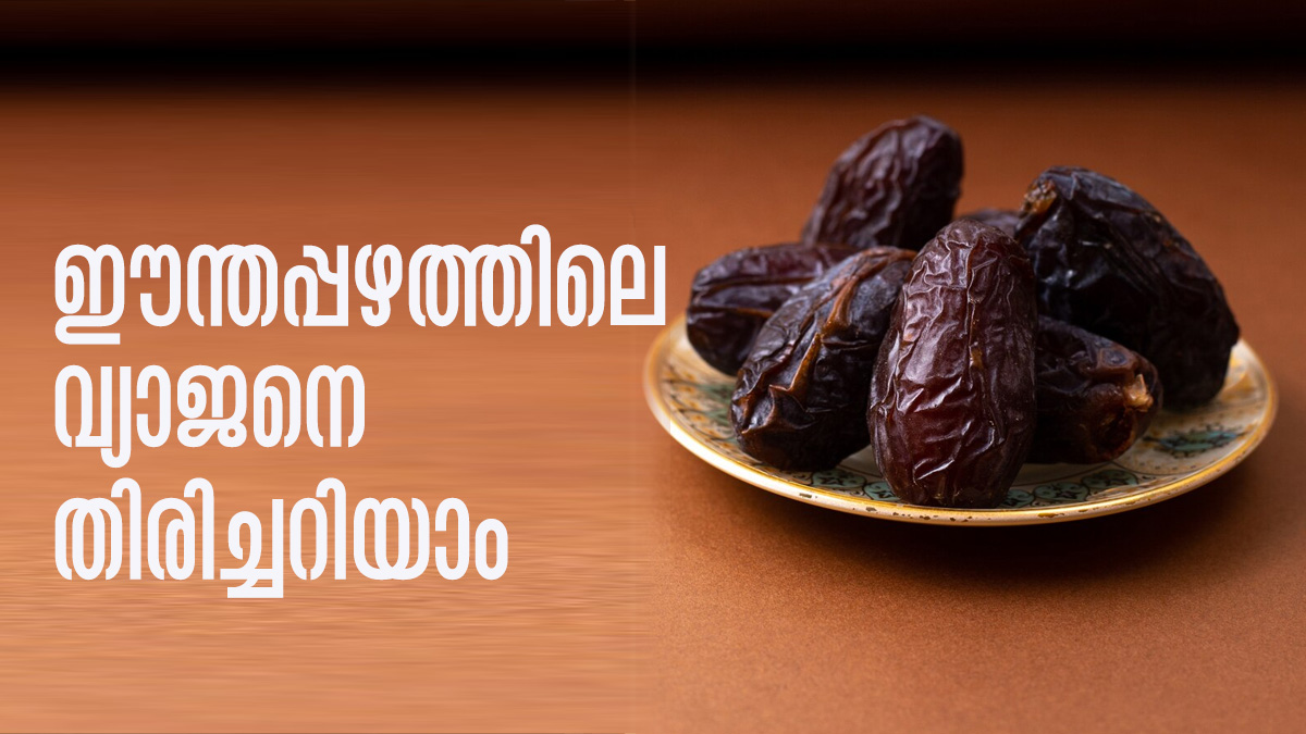 Food Tips: You Can Identify Real Dates From Fake Ones By These Simple ...