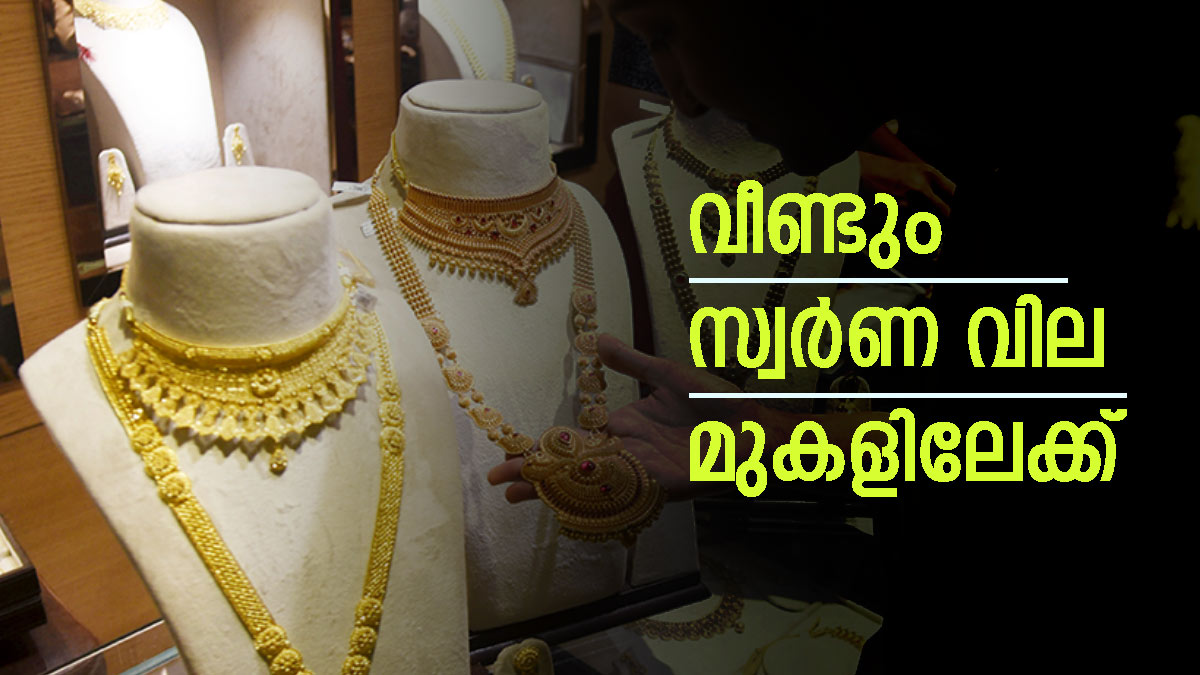 Gold Rate Kerala Today; Price 200 Increased for 1 pavan, see How Much ...