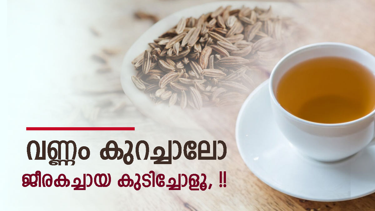 Weight Loss Tips: Do You Know How Drinking Fennel Tea Helps To Lose ...