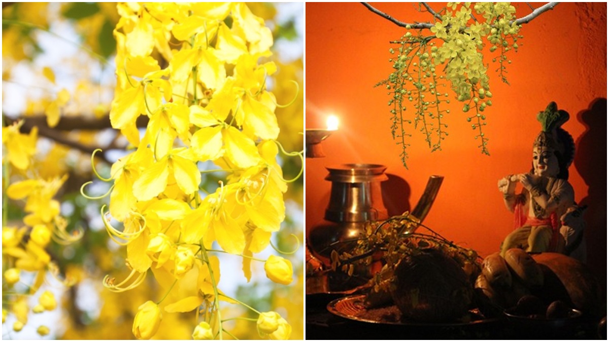 Happy Vishu 2024 Wishes In Malayalam | വിഷു 2024 ആശംസകൾ | വിഷുദിനാശംസക ...